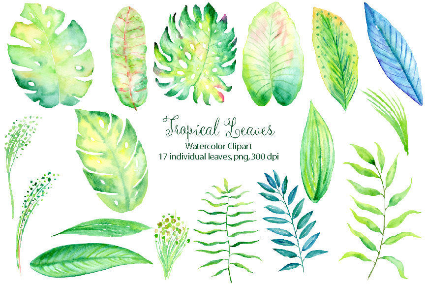 Tropical leaf clip art, watercolor tropical leaves, jungle leaf ...
