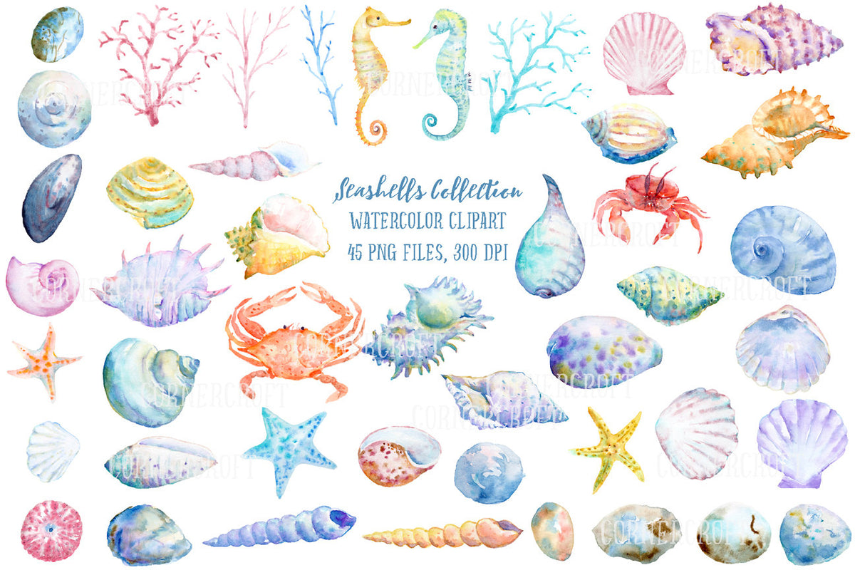 Watercolor Clipart Seashell Collection, seashells, crabs, star fish, s ...