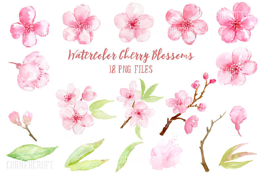 Watercolor Clipart cherry blossoms, pink flowers, spring flowers, prin ...
